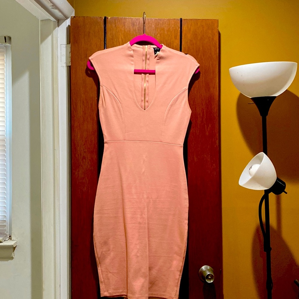 Light Pink Well Fitted Dress For All Occasions - Gem